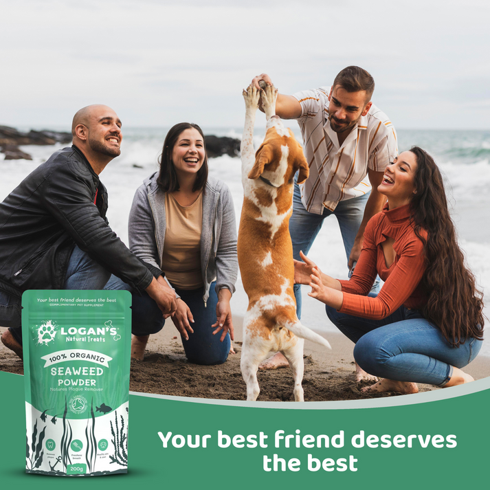 Seaweed Powder for Dogs – Natural Dental & Thyroid Support | Logans